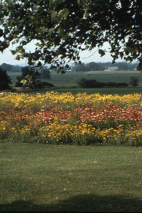 Garden Over Leach Field Making Our Septic Area Beautiful In